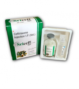 Ceftriaxone 500 mg, 1 gm, 3 gm & 4 gm Veterinary Injection (SRICEFF ...